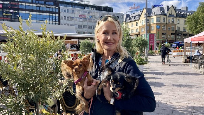 MEDIAHUONE :: Koirien oma Hännät heiluu -yhteisö – heiluu.fi